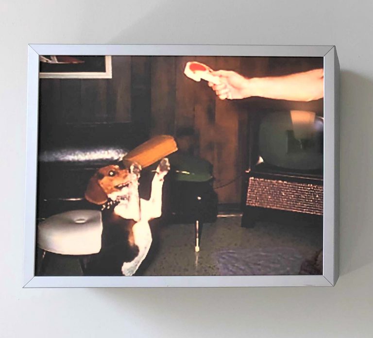 Millie Wilson: Light and Memory - Art Installation in Smith Hall - The ...