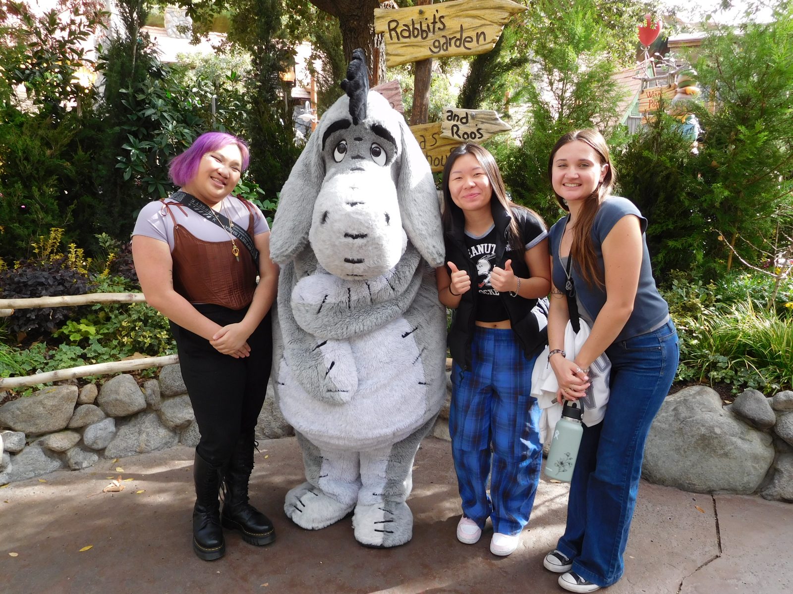 Learning the Culture of Disneyland: Exploring Social Behavior Through ...
