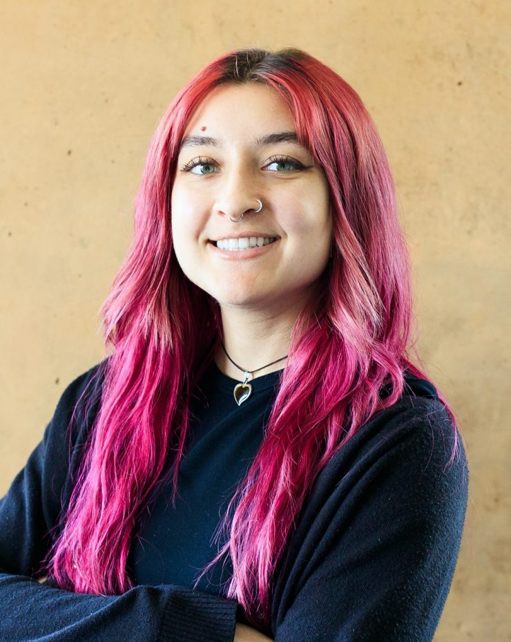 Wilkinson Interterm Research Experience (WIRE): Empowering Student ...