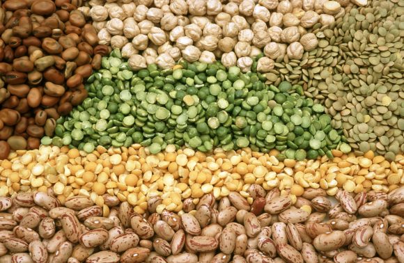 The Rapid Pulse of Pulses - by Avinash Shrikantia, MS in Food Science ...