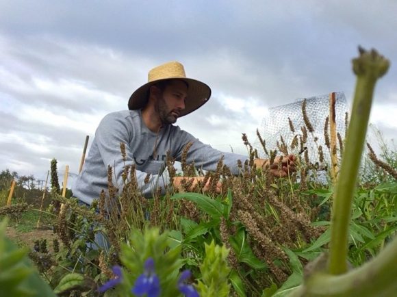 Biological Sciences Faculty Dr. Hagop Atamian Receives Half a Million ...