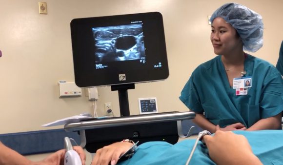 Exploring Health Specialties and Health Care Systems - Kiersten Chong's ...