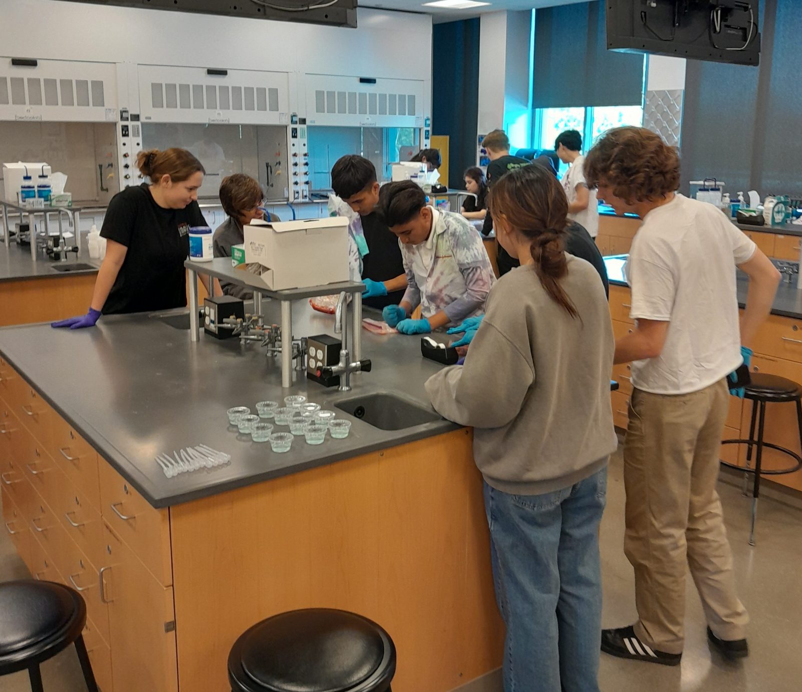 Chapman’s Beta Beta Beta Honor Society Hosts the Higher Ground Youth ...