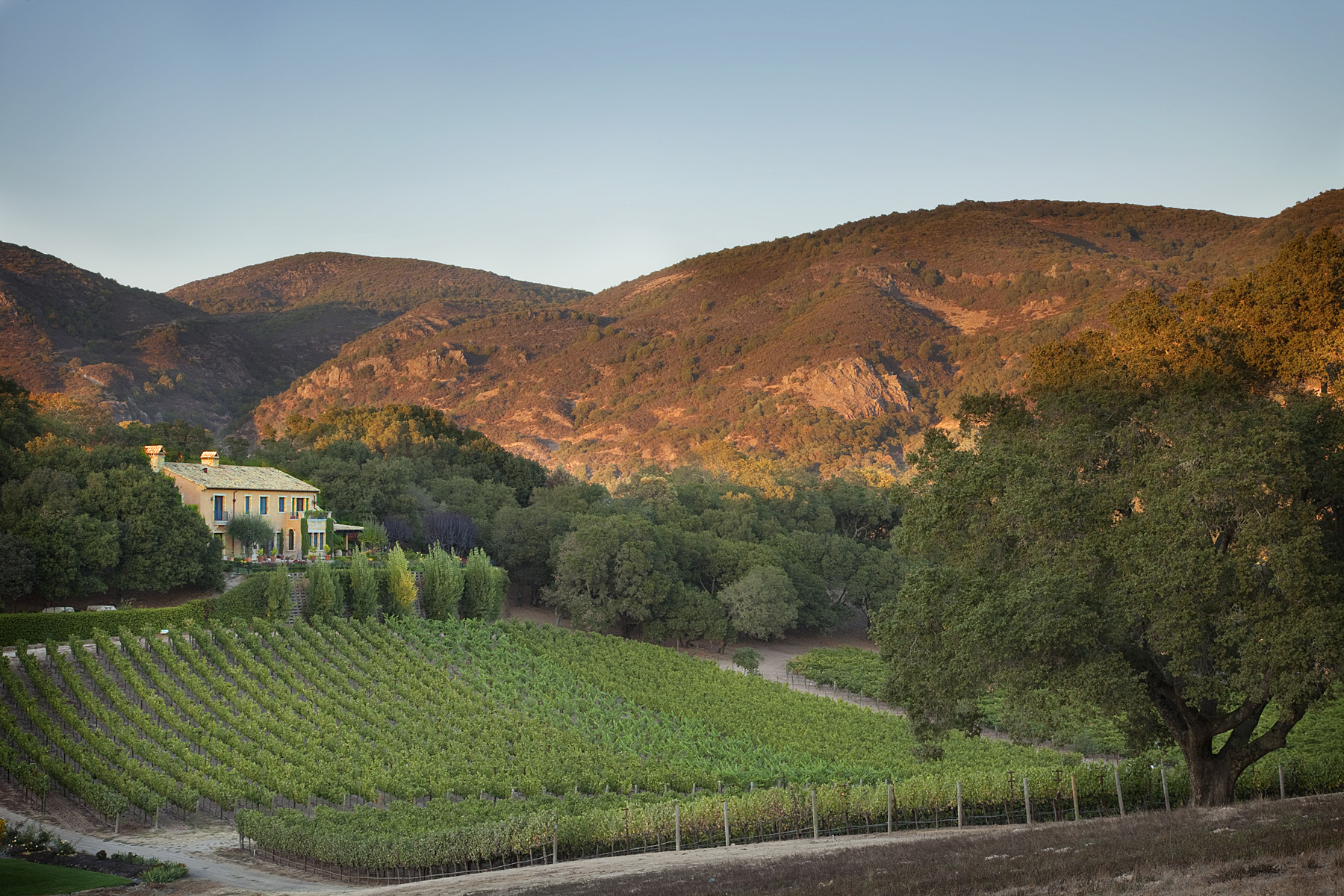 Doti-Sodaro Cabernet Sauvignon takes home top prize