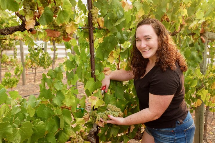 Alumni Hour: Allison Harf '14