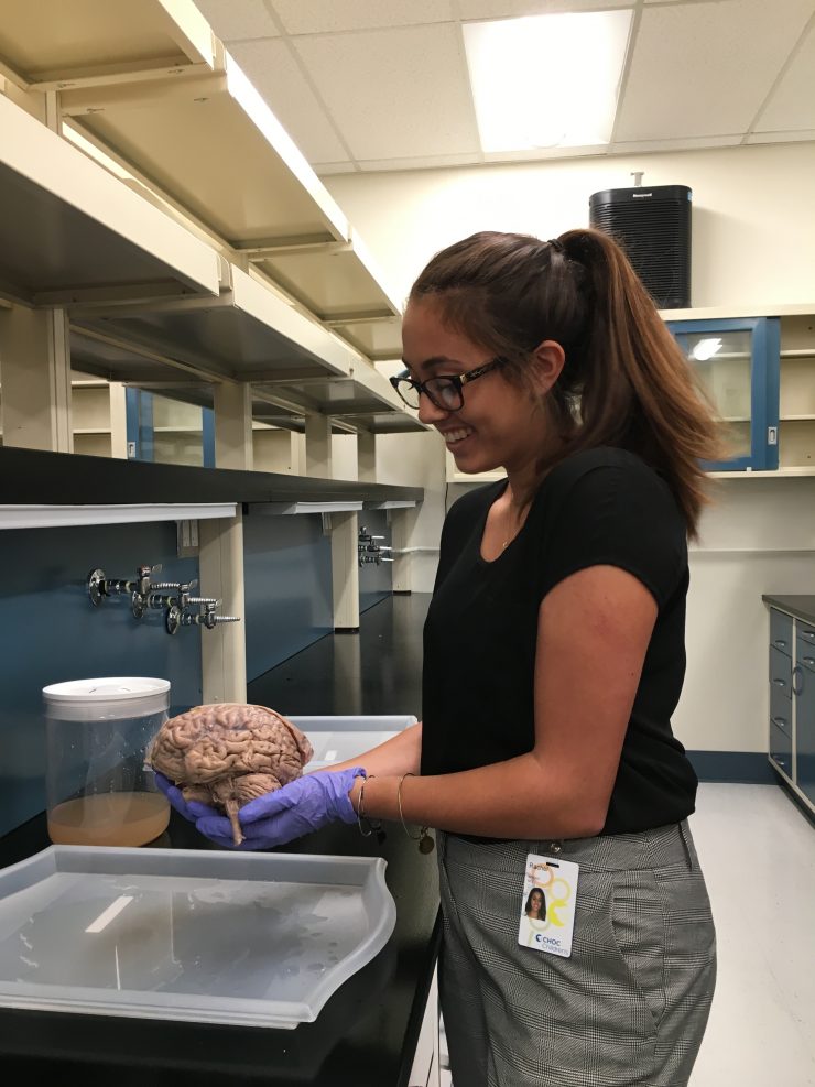 Chapman Student Shares Her Adventure Working in Healthcare - Rachel ...