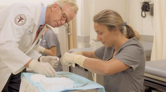 Professor Burney to be Featured on Ask the Experts: COVID-19 Research ...