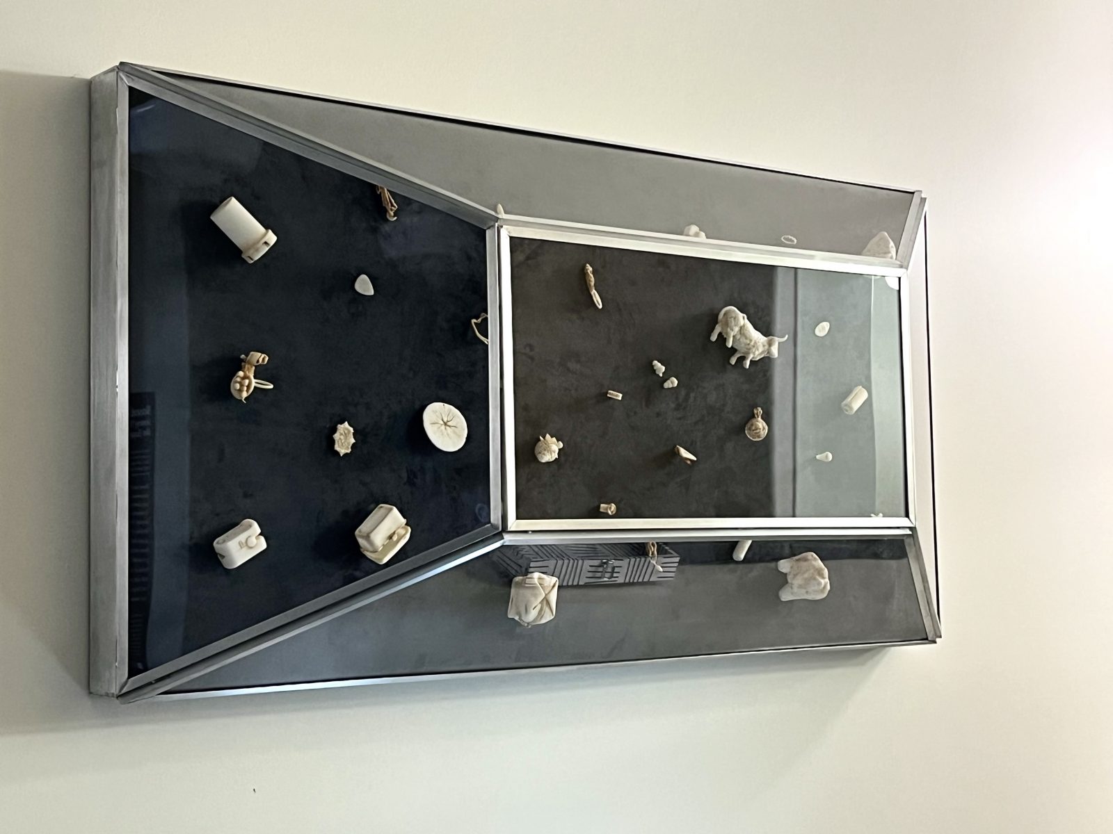 Bound in Bone - A New Student-Generated Exhibition in Roosevelt Hall ...