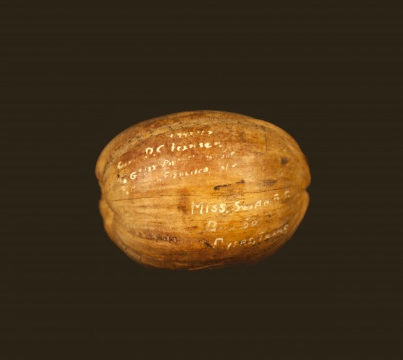 Writing Home on a Coconut - Leatherby Libraries