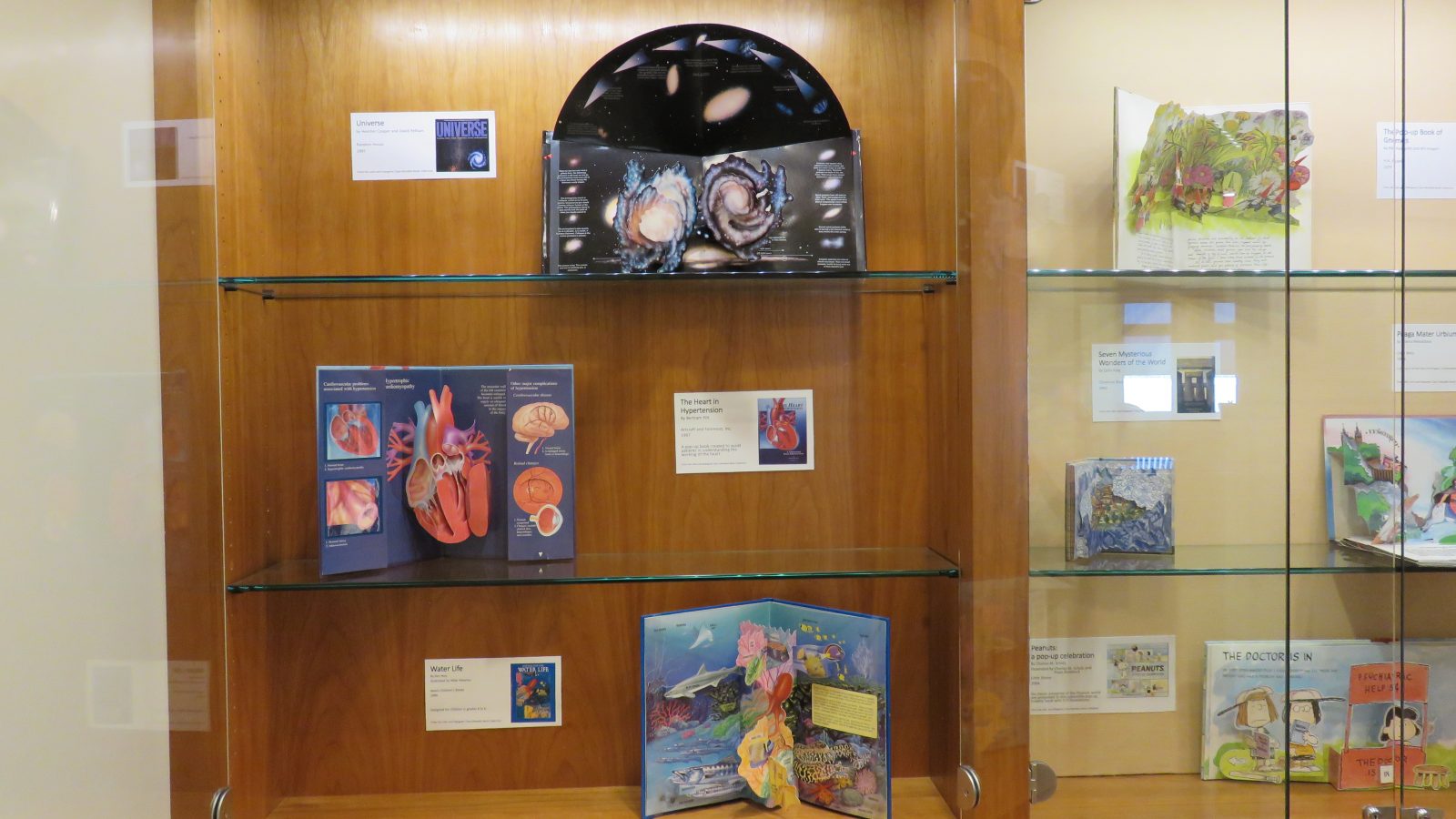 Expanding Imagination: The Art of Pop-up and Movable Books - Latest ...