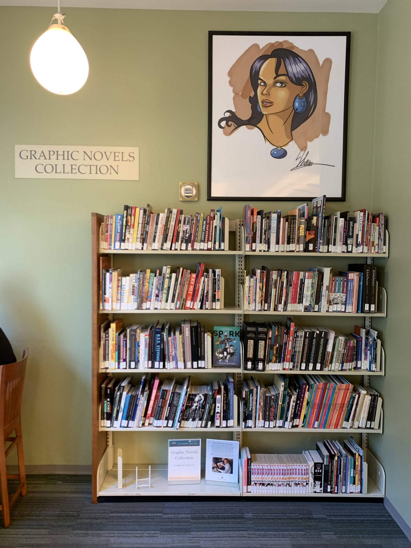 Exploring the Library: The Graphic Novels Collection - Leatherby Libraries
