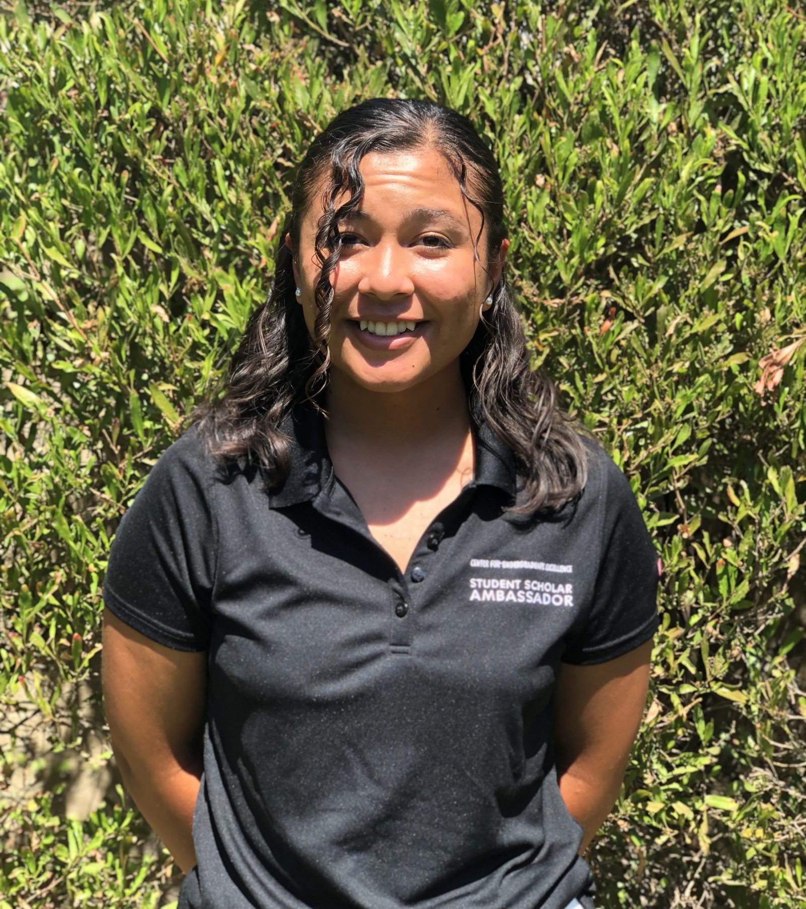 Become a Student Scholar Ambassador! - The Center for Undergraduate ...