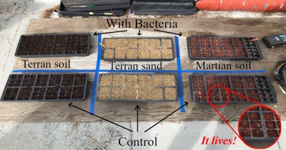 Martian Alfalfa Experiment - Nick Callen, Dela Hatfield, Cole Ternes ...