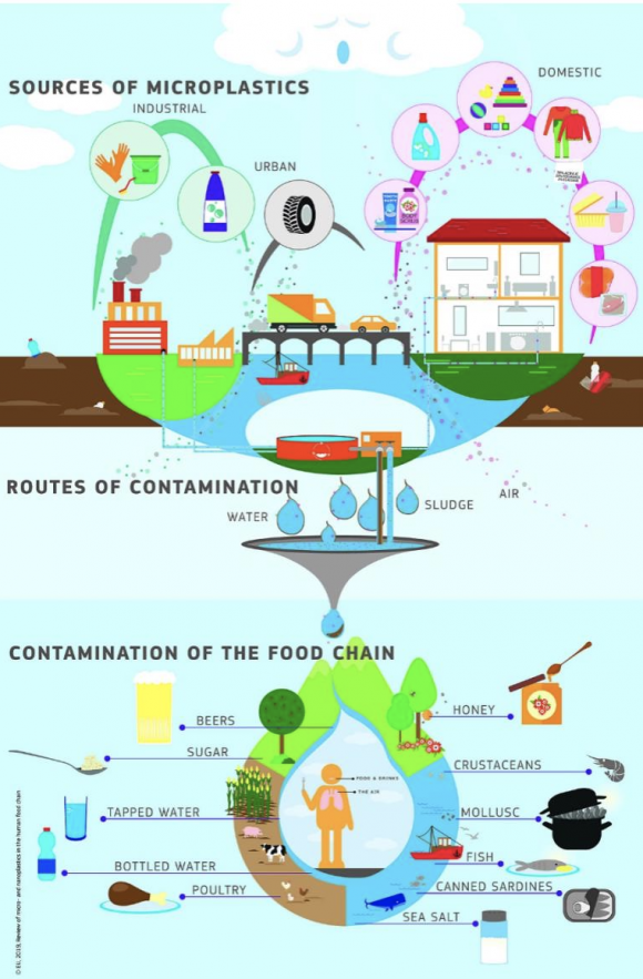 Detecting Microplastics in the Environment with Fluorescence ...