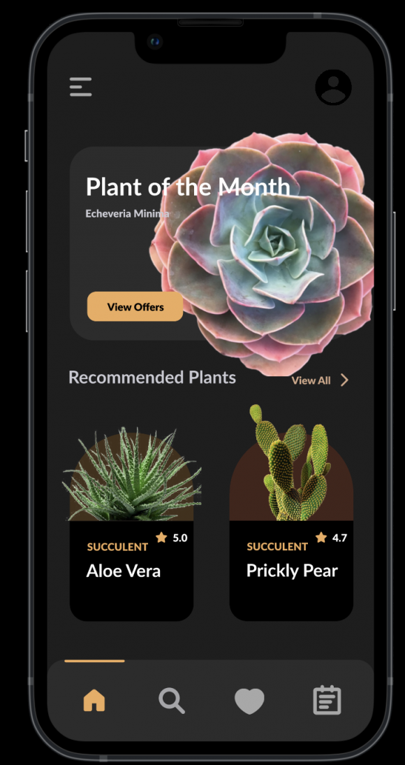 Looking to Save Money and Water? Add Some Native Plants to Your Yard ...