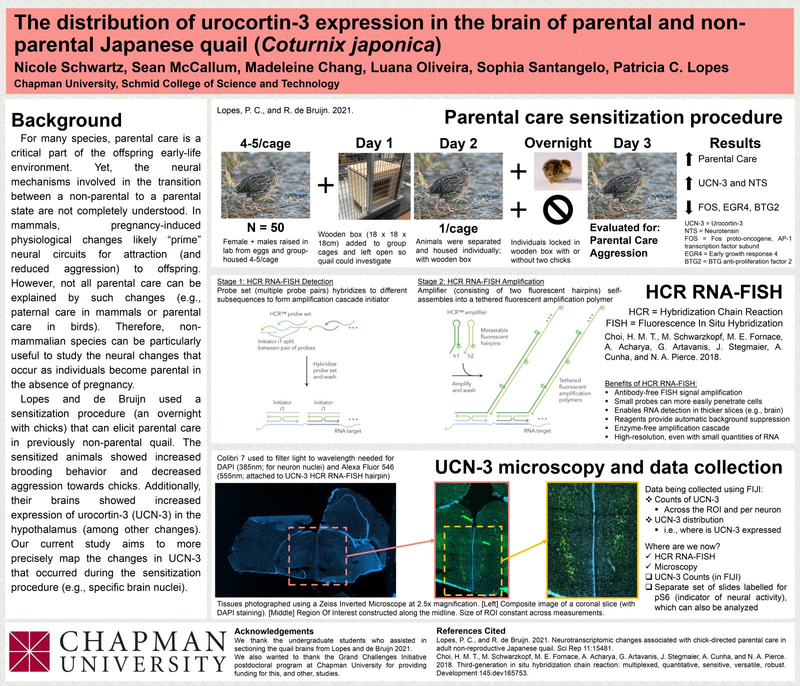 Nicole Schwartz, Ph.D. – The distribution of urocortin-3 expression in ...